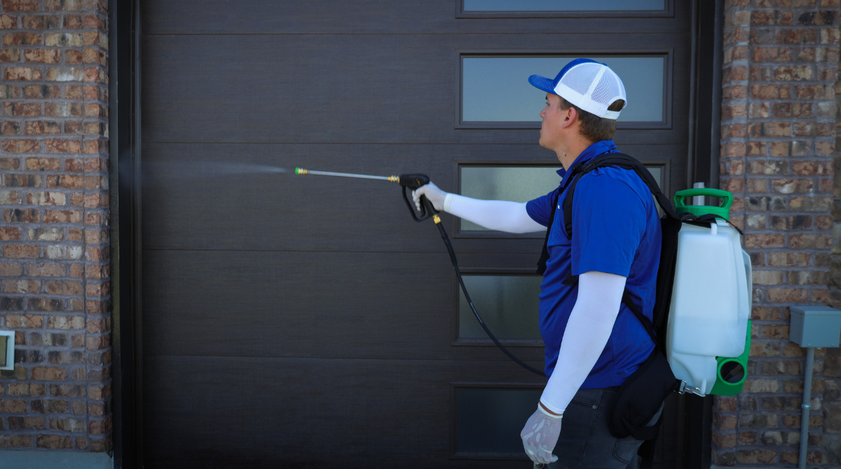 High Quality Pest Control Services in Phoenix, AZ | AIMVO