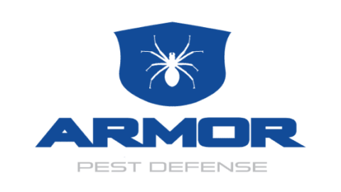 Learn More About Who We Are | AIMVO