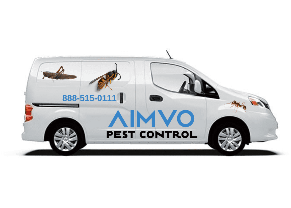 Pest Control Services in Arizona - AIMVO Pest Control