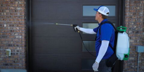 High Quality Pest Control in Oklahoma City, OK | AIMVO