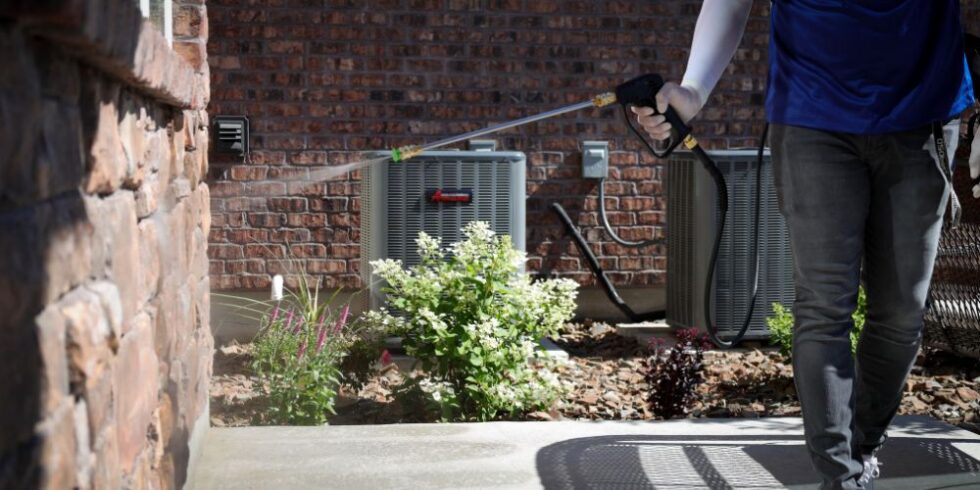 High Quality Pest Control Services in Denver, CO | AIMVO