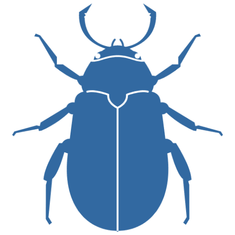 Pest Control Services in Arizona - AIMVO Pest Control