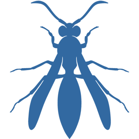 Pest Control Services in Arizona - AIMVO Pest Control