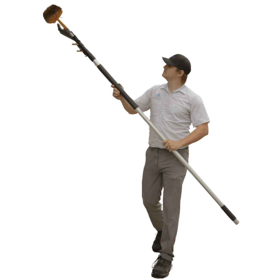 SAVE BIG IN PEST CONTROL- LIMITED OFFER