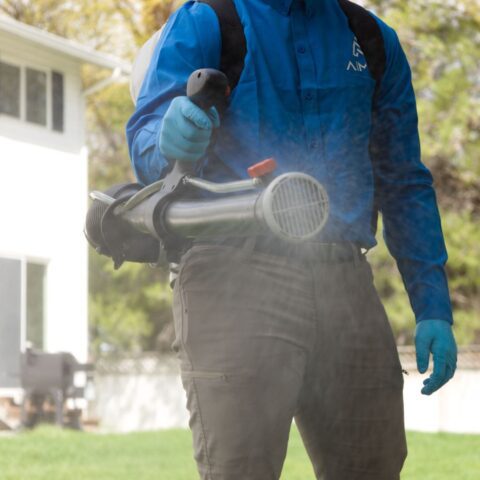 SAVE BIG IN PEST CONTROL- LIMITED OFFER