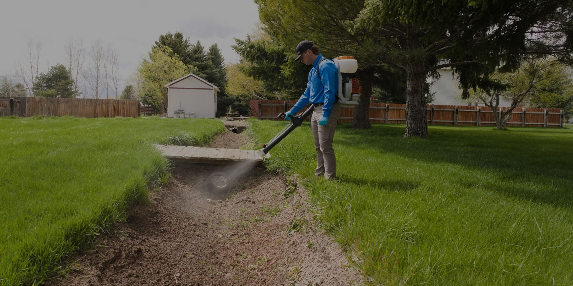 AIMVO Pest Control Cross Sell - AIMVO